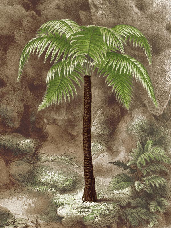 GLANCA BORY - L'OEIL DU CYCLONE